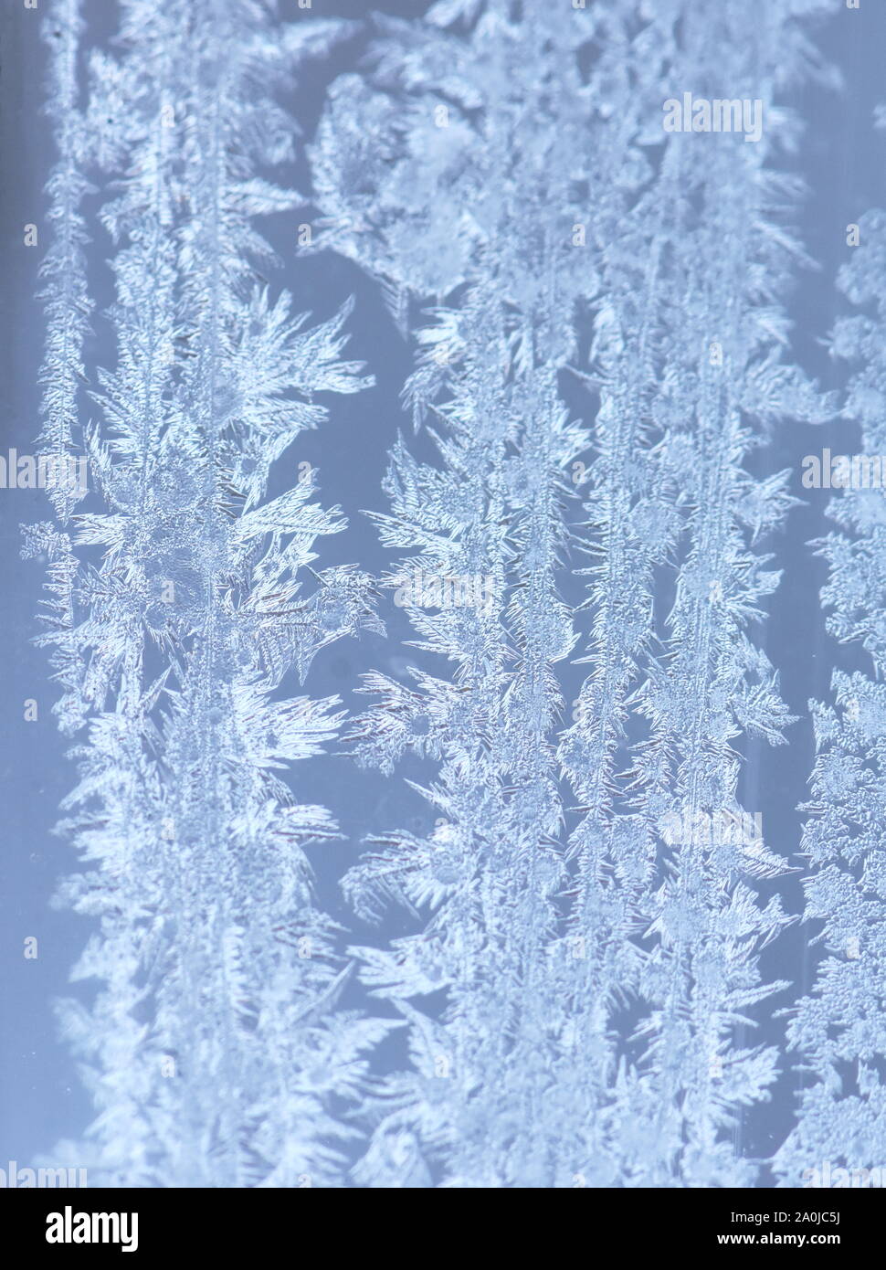 Transparent window hi-res stock photography and images - Alamy