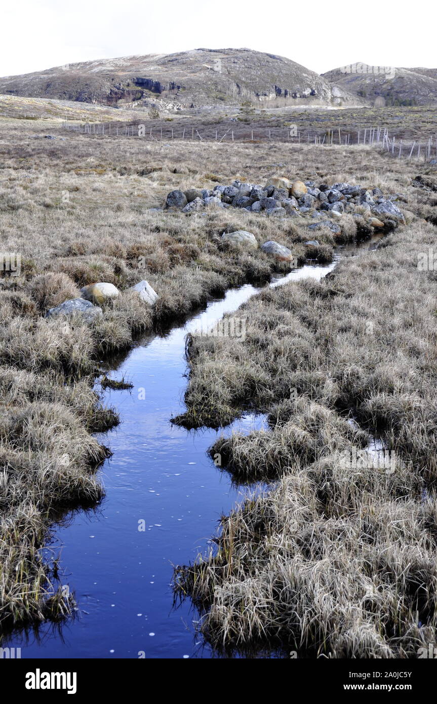 Spring scenery hi-res stock photography and images - Alamy