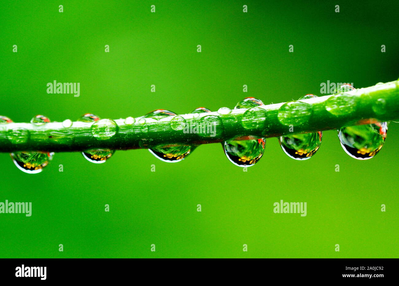 Rain reflections hi-res stock photography and images - Alamy