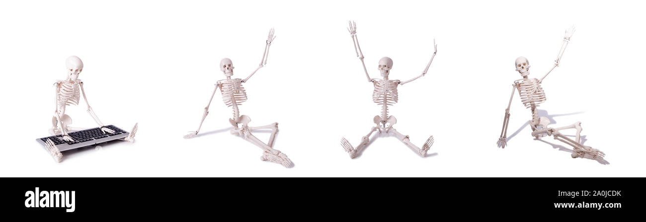 The funny skeleton working on computer Stock Photo - Alamy