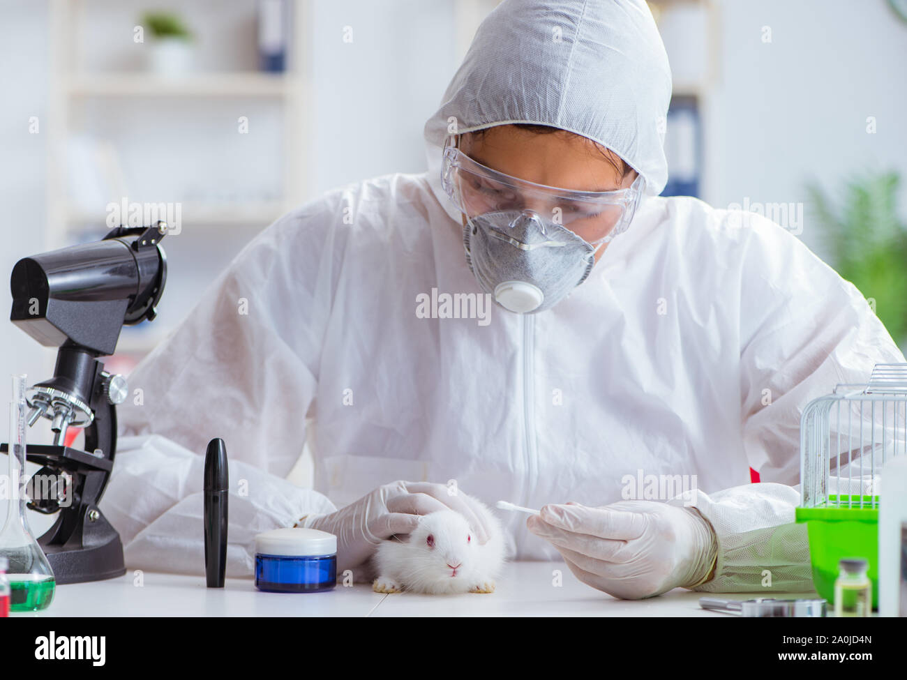 The scientist doing animal experiment in lab with rabbit Stock Photo ...