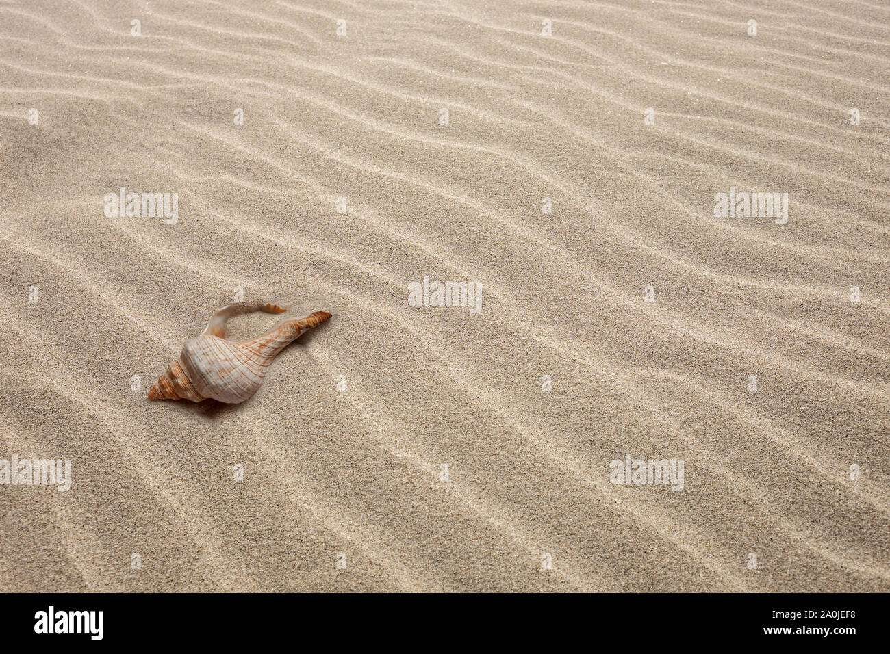 Sand surface hi-res stock photography and images - Alamy