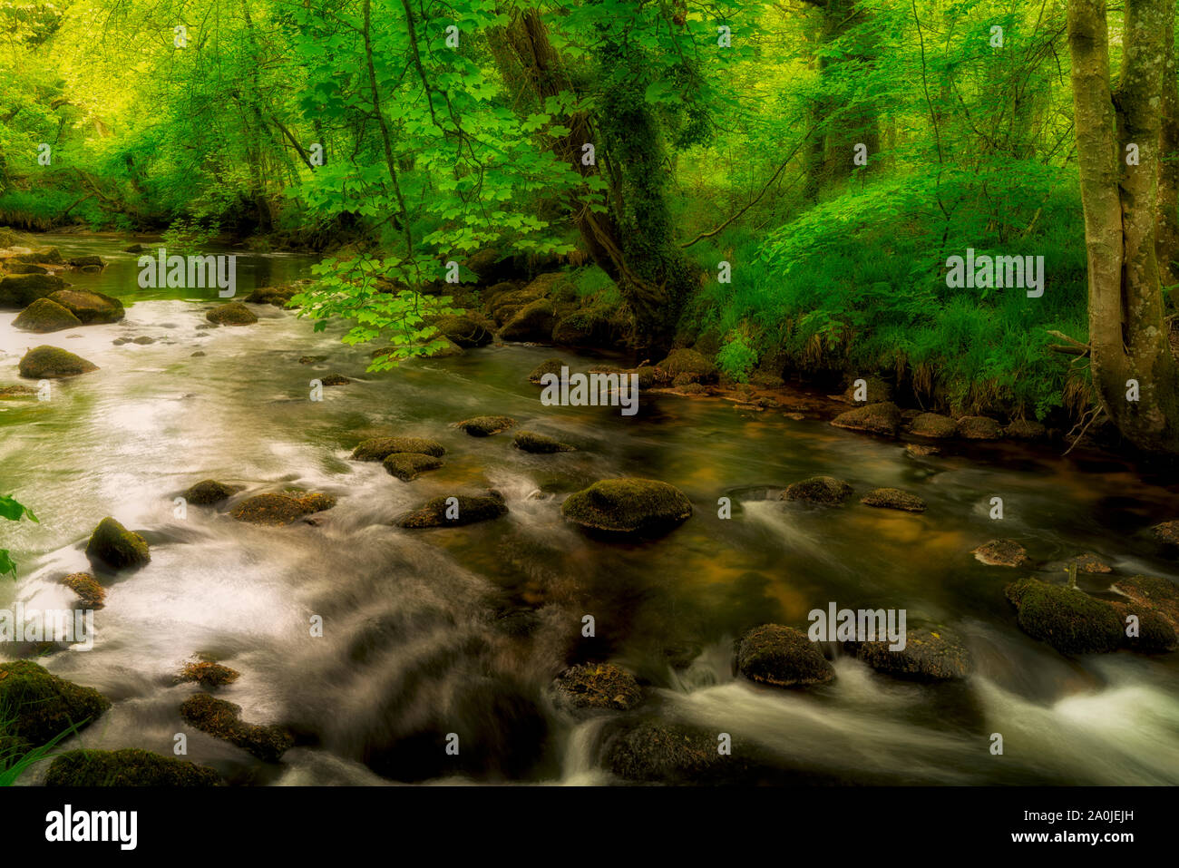 Dartmoor waterscape hi-res stock photography and images - Alamy