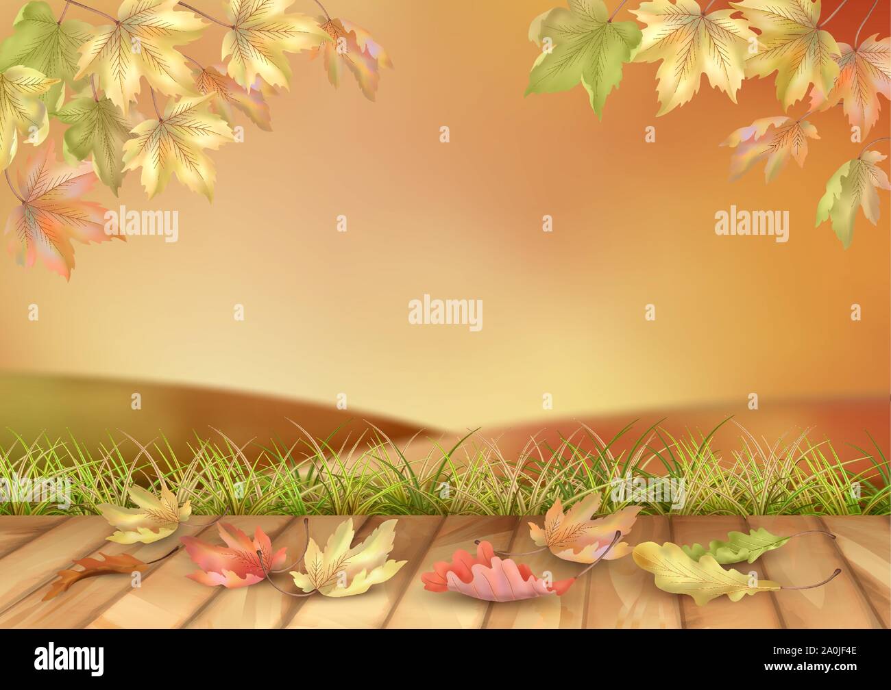 Autumn scene maple tree Stock Vector Images - Alamy