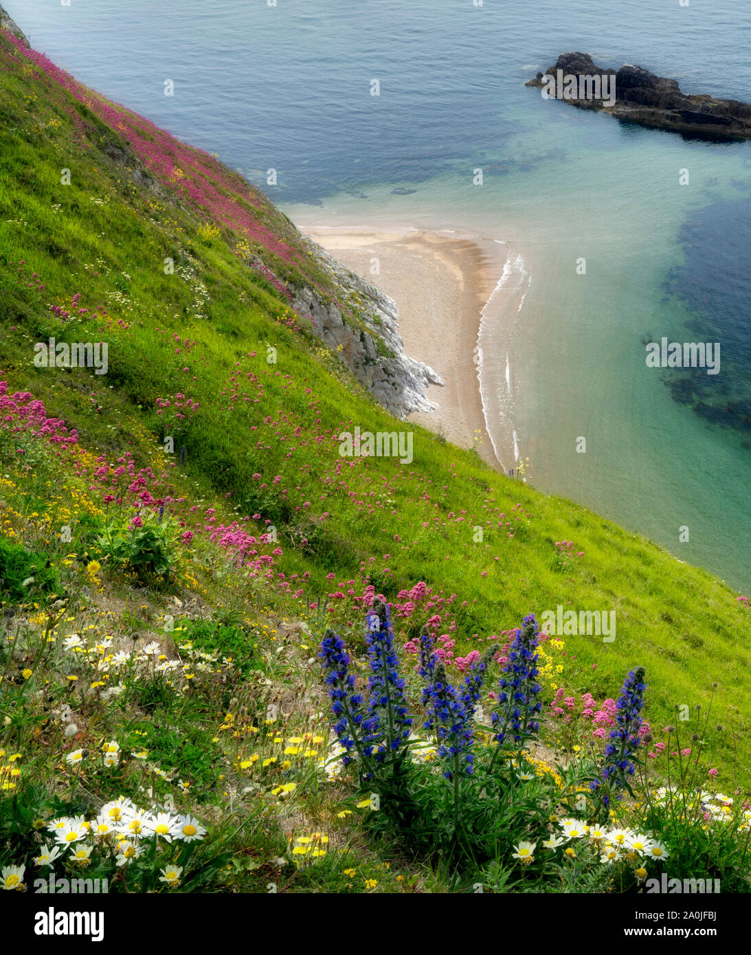 Man o' war bay hi-res stock photography and images - Alamy