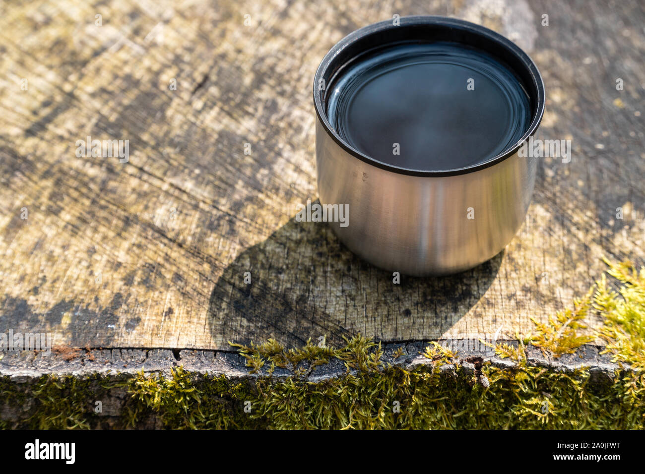 Cup of coffee or tea on a moss covered tree stump in sunlight in the ...