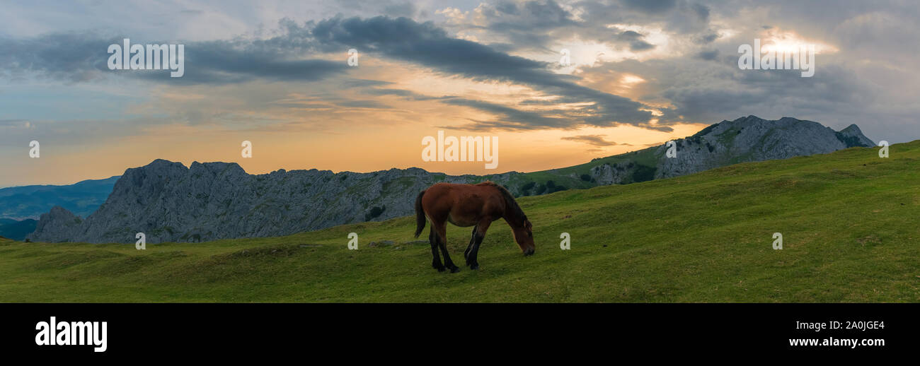 Alone in sunrise Stock Photo - Alamy