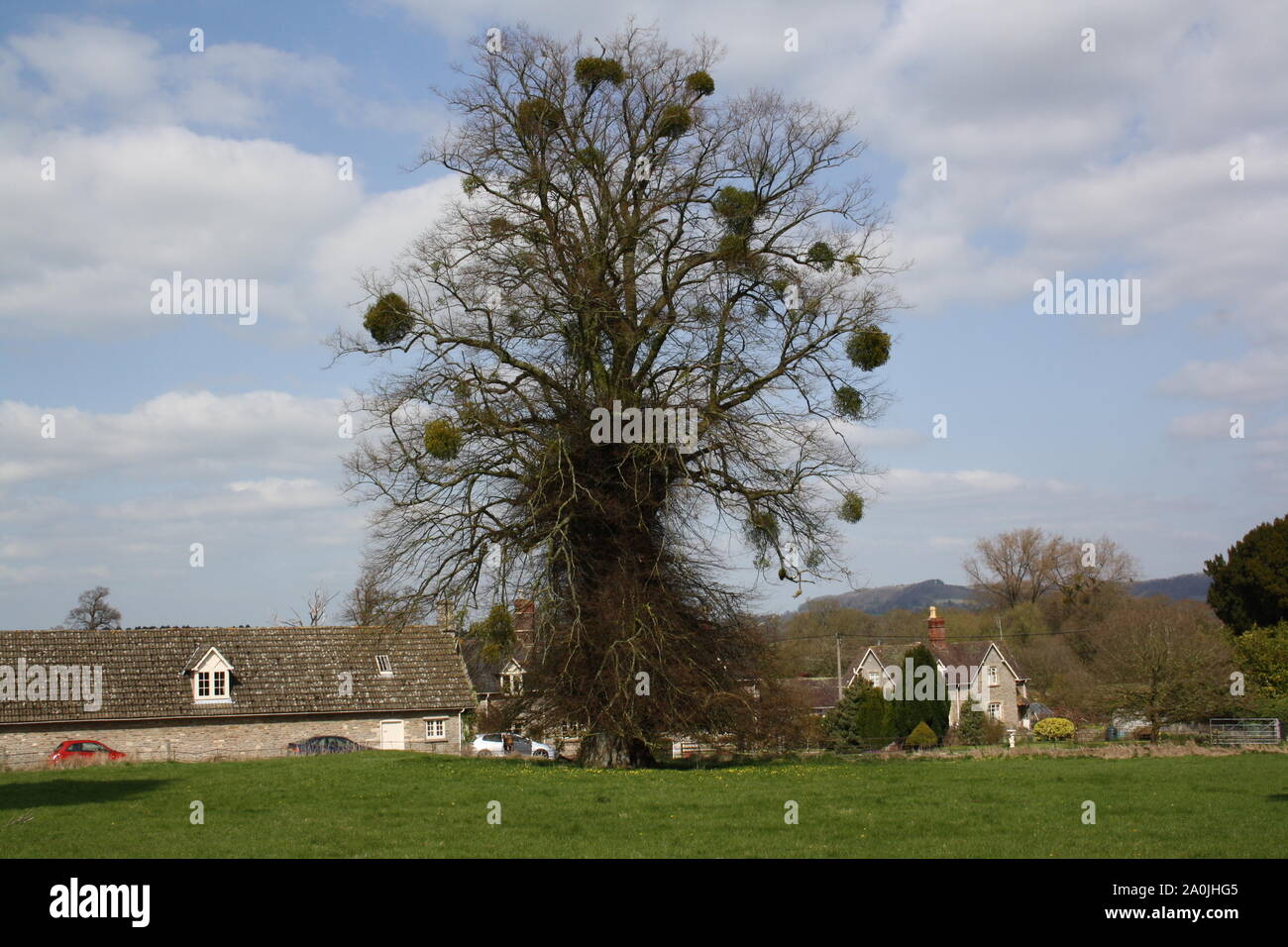 Alien Looking High Resolution Stock Photography and Images - Alamy