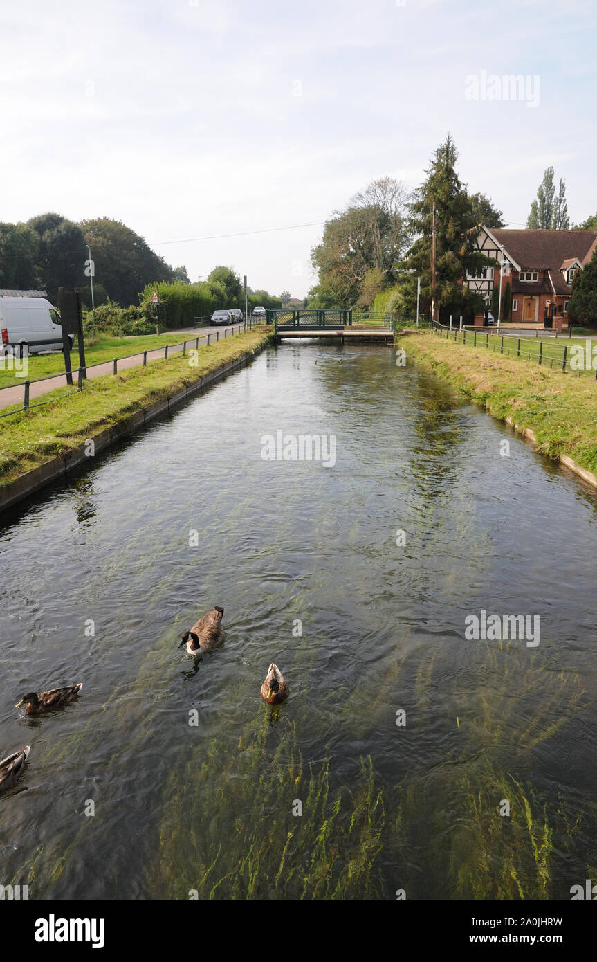 New River, Broxbourne, Hertfordshire Stock Photo - Alamy