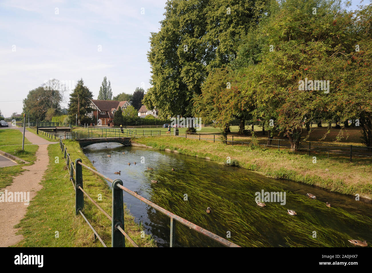 New River, Broxbourne, Hertfordshire Stock Photo - Alamy