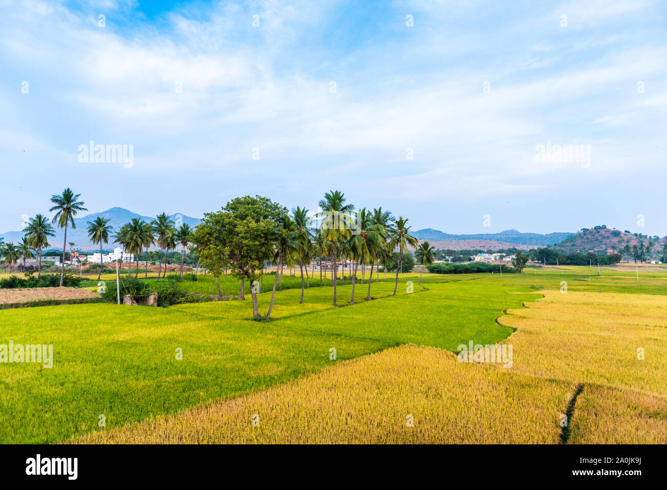Indian rural landscape hi-res stock photography and images - Alamy