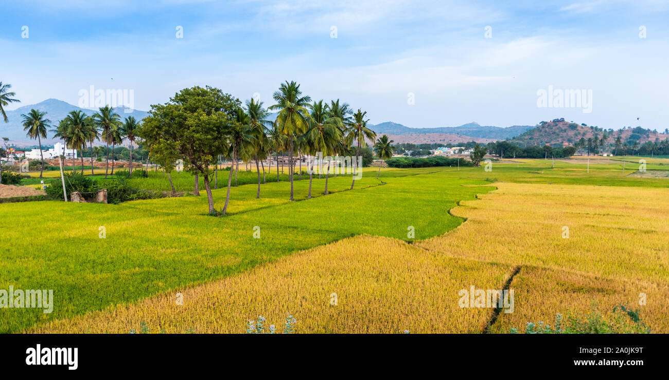 View of the Indian rural landscape, Puttaparthi, India Stock Photo - Alamy