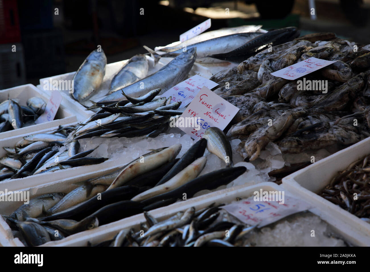 Fish market sardines hi-res stock photography and images - Alamy