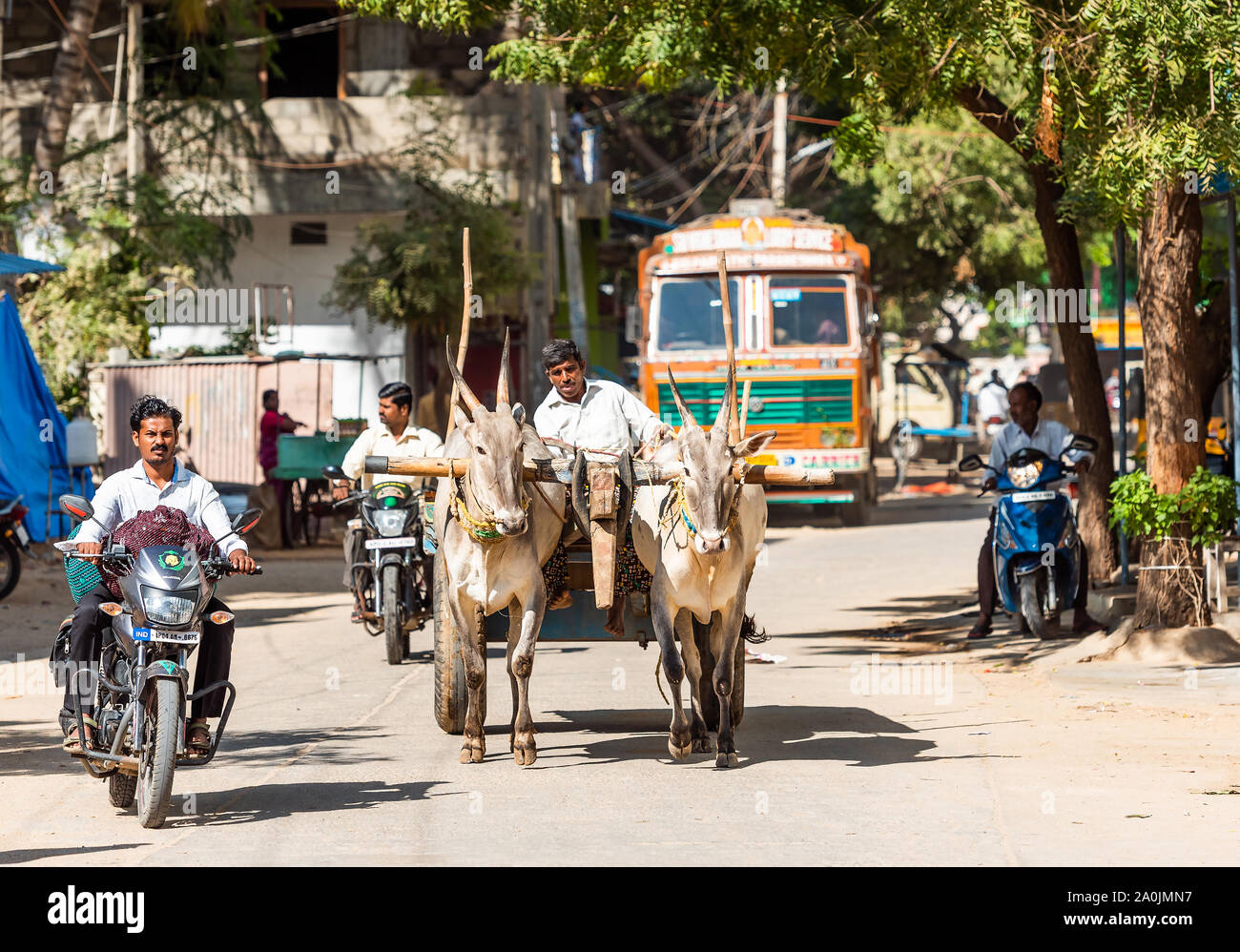 India bull carts hi-res stock photography and images - Alamy