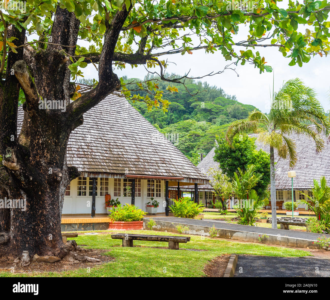 View of a bungalow among the forest, Raiatea island, French Polynesia ...