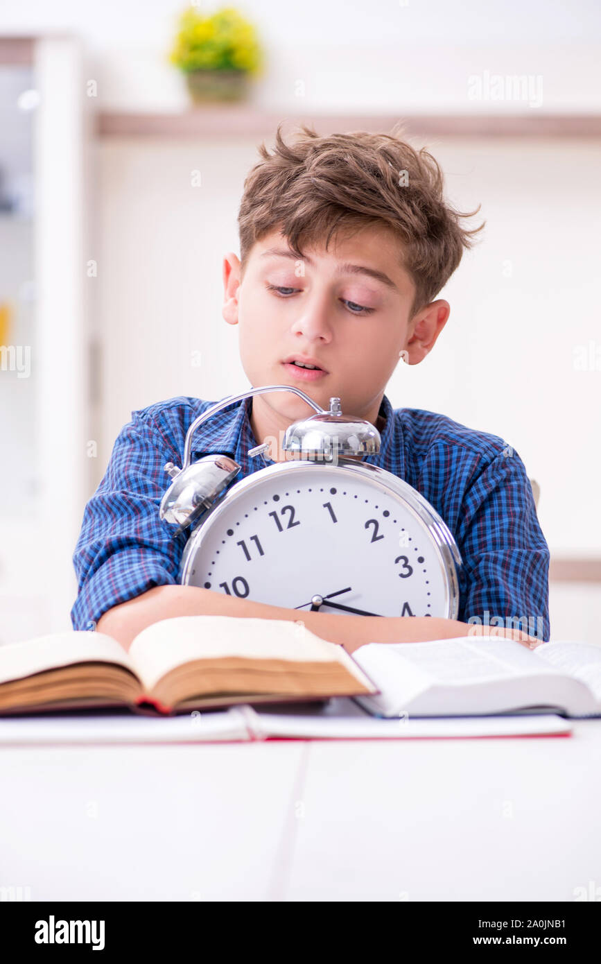 School child revising for exams hi-res stock photography and images - Alamy