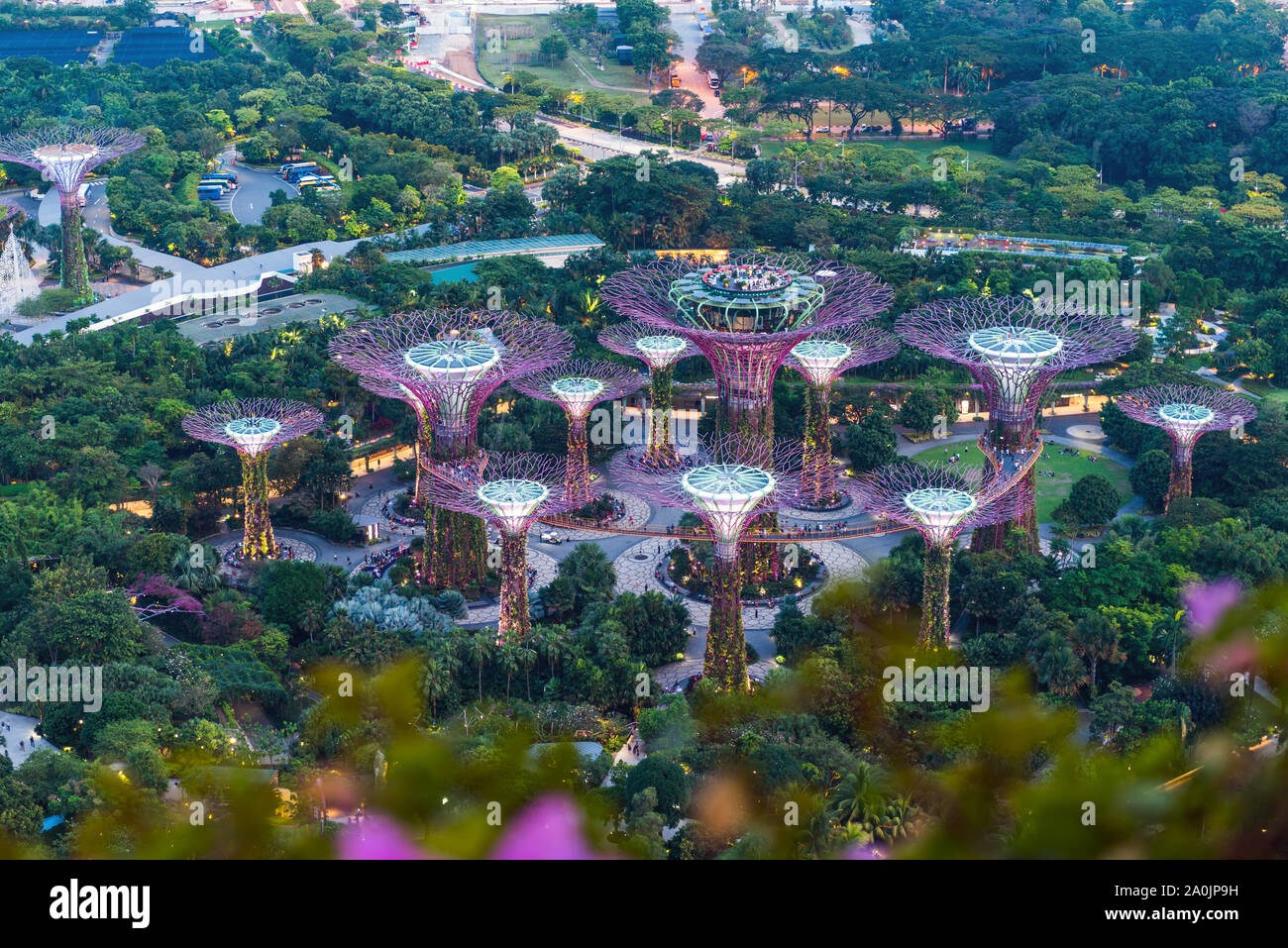 SINGAPORE - NOVEMBER 11, 2018: Supertree Grove in the Garden by the Bay ...