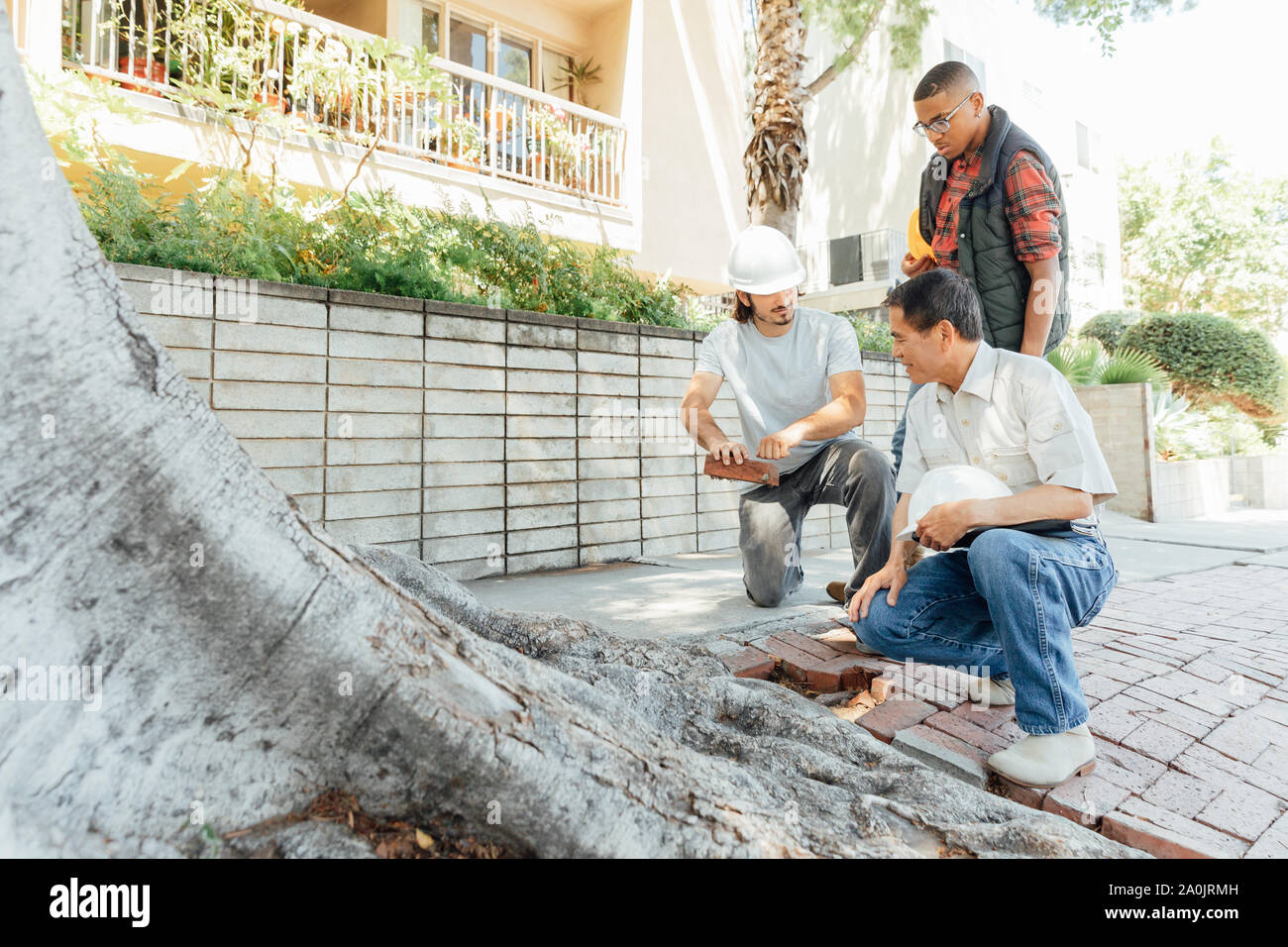 Men working together and learn onsite Stock Photo - Alamy
