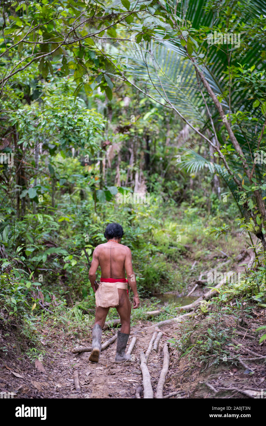 Mentawai tribe man walking through the jungle Stock Photo - Alamy