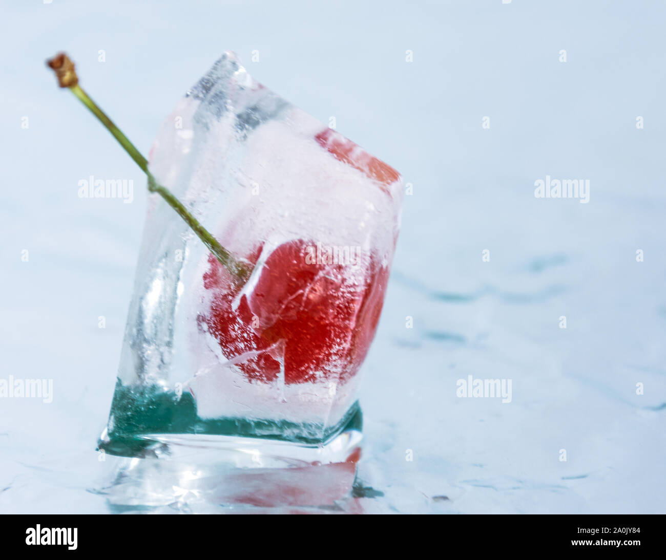 Cherry berry frozen in ice cube. Berry iceberg. Romance decoration ...