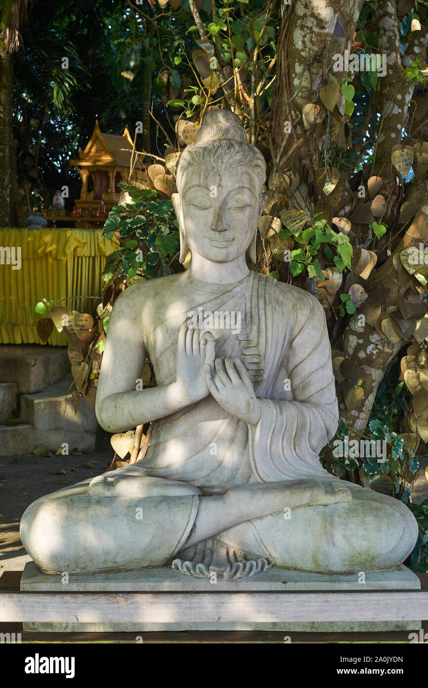 Dharmachakra Buddha