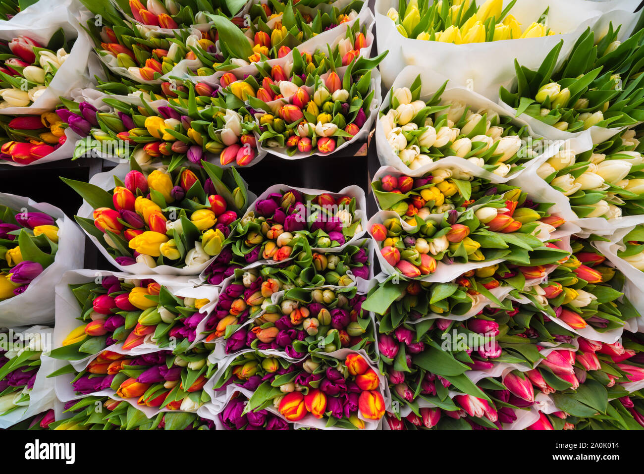 Flower auction business hi-res stock photography and images - Alamy