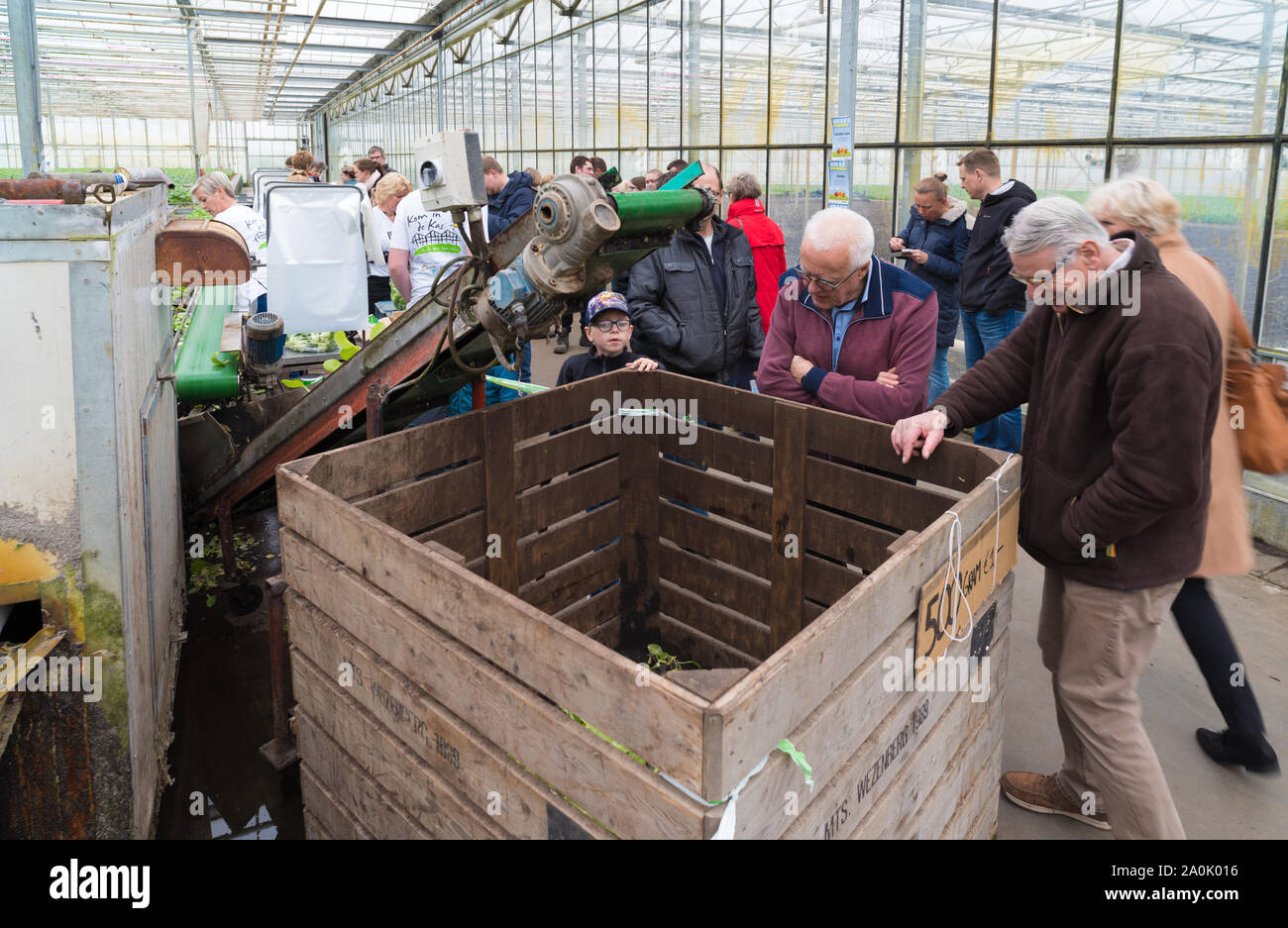 Open greenhouse hi-res stock photography and images - Alamy