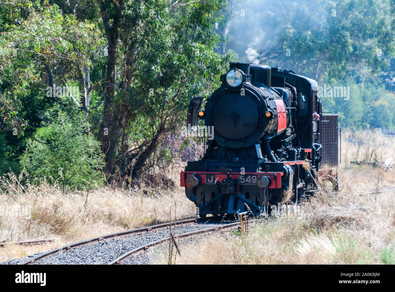 Goldfield railway hi-res stock photography and images - Alamy