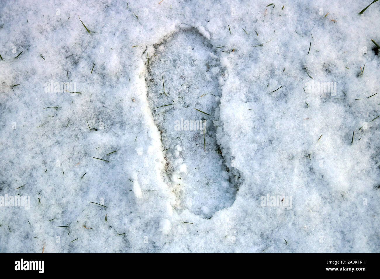Footprint in a frost covered garden lawn Stock Photo - Alamy