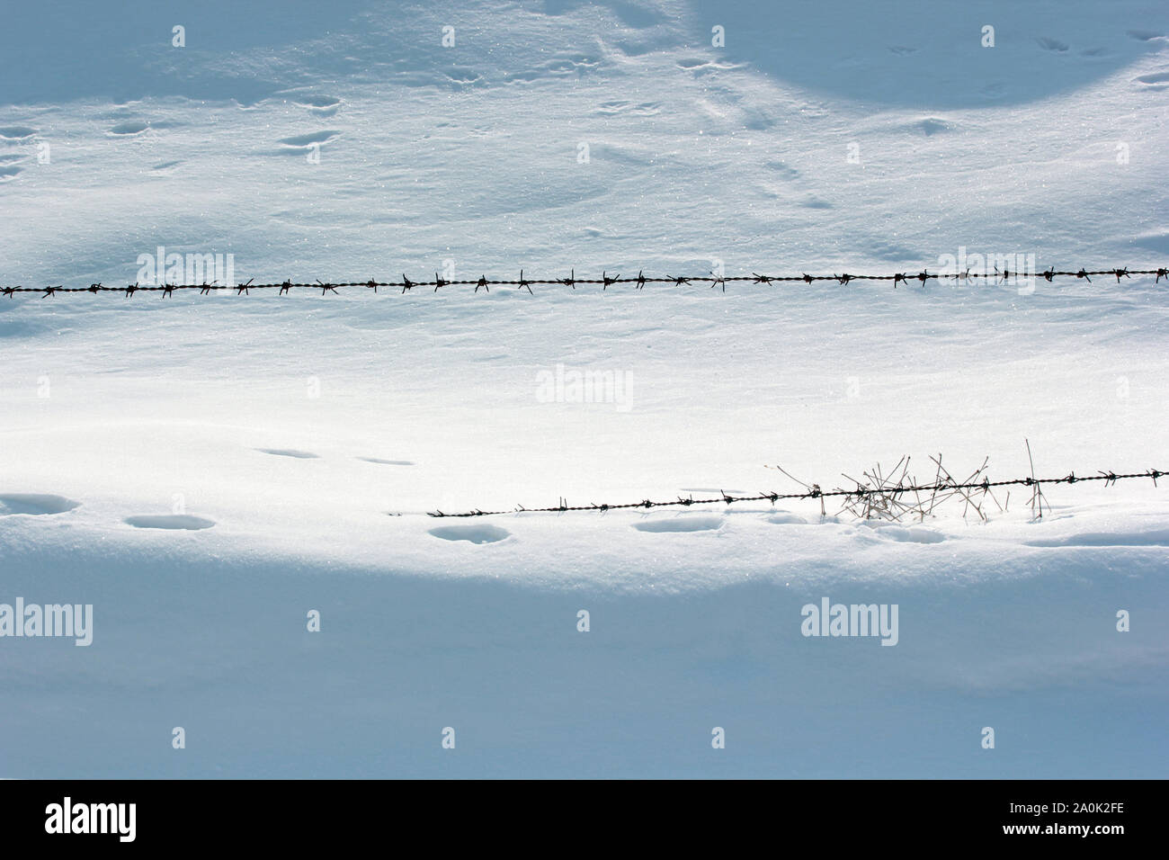 snow and barbed wire mesh Stock Photo - Alamy