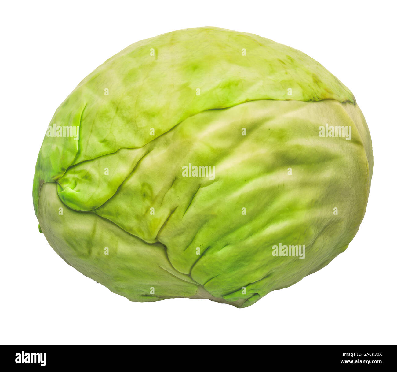 Cabbage close-up 3d rendering with realistic texture Stock Photo - Alamy