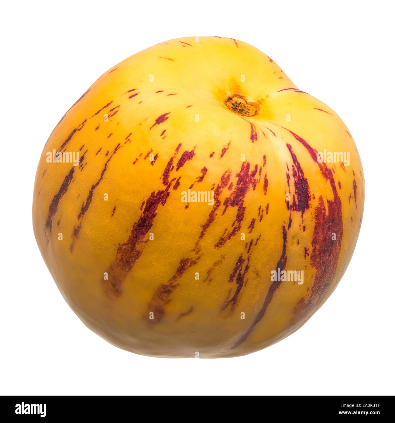 Pepino or sweet cucumber close-up 3d rendering with realistic texture ...
