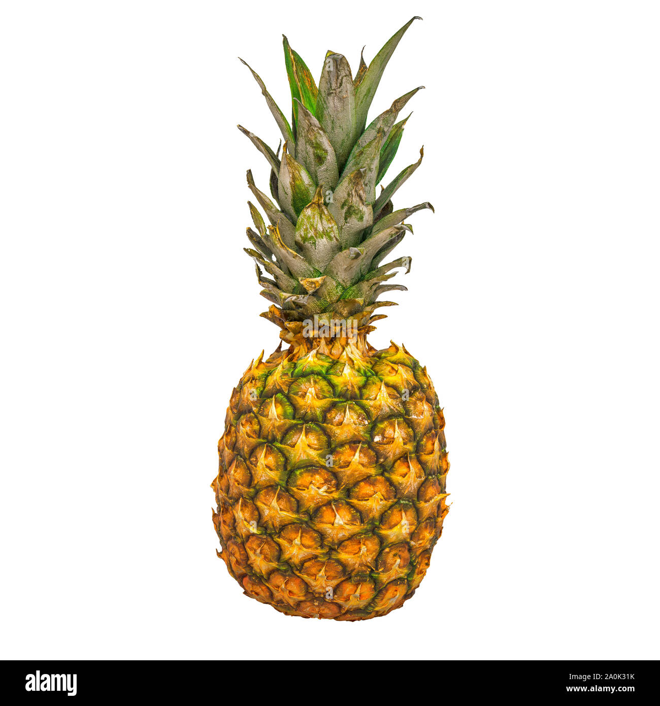 Pineapple close-up 3d rendering with realistic texture isolated on ...