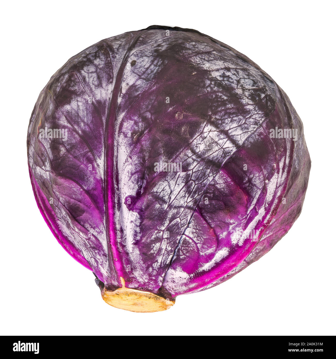 Purple cabbage close-up 3d rendering with realistic texture isolated on ...
