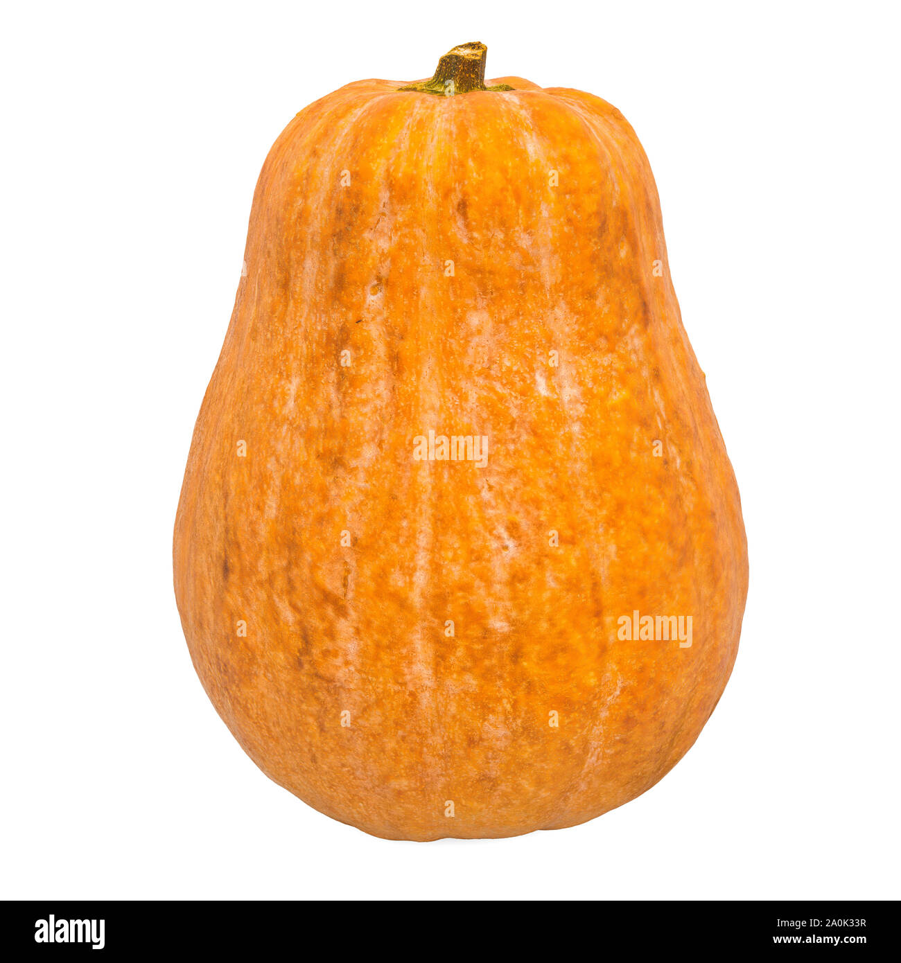 Pumpkin or squash close-up 3d rendering with realistic texture isolated ...