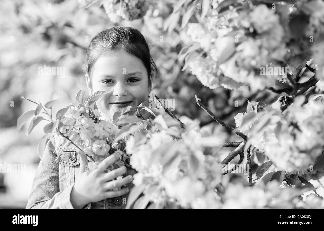 Girl cherry flower background. Sakura tree blooming. Park and garden ...