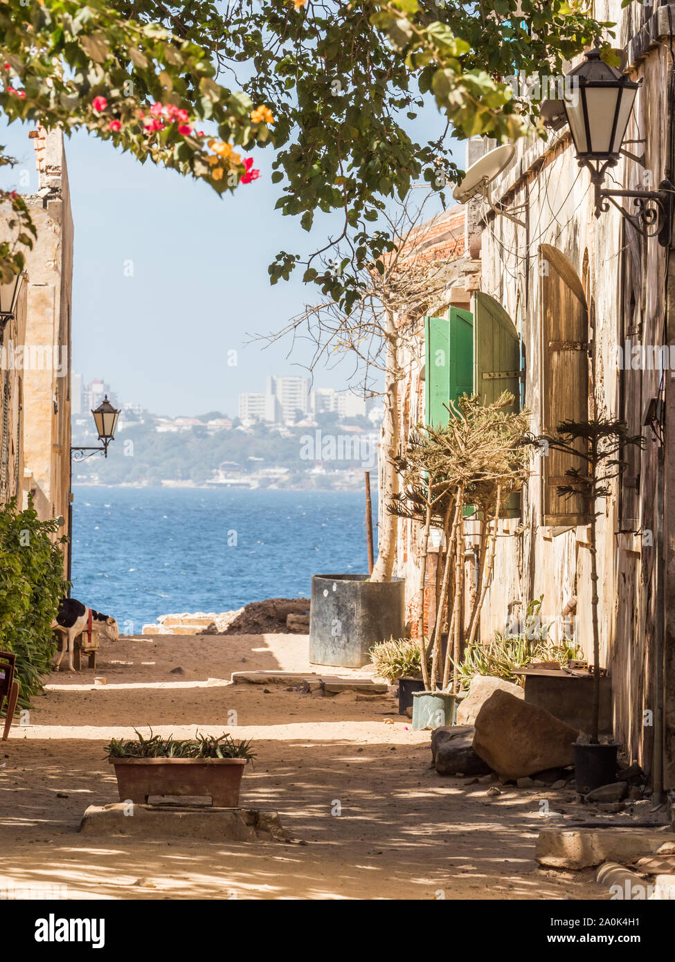 Daily life dakar hi-res stock photography and images - Alamy