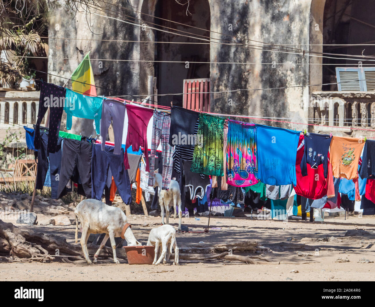 Goree, Senegal- February 2, 2019: Daily life on the island Goree. Gorée ...