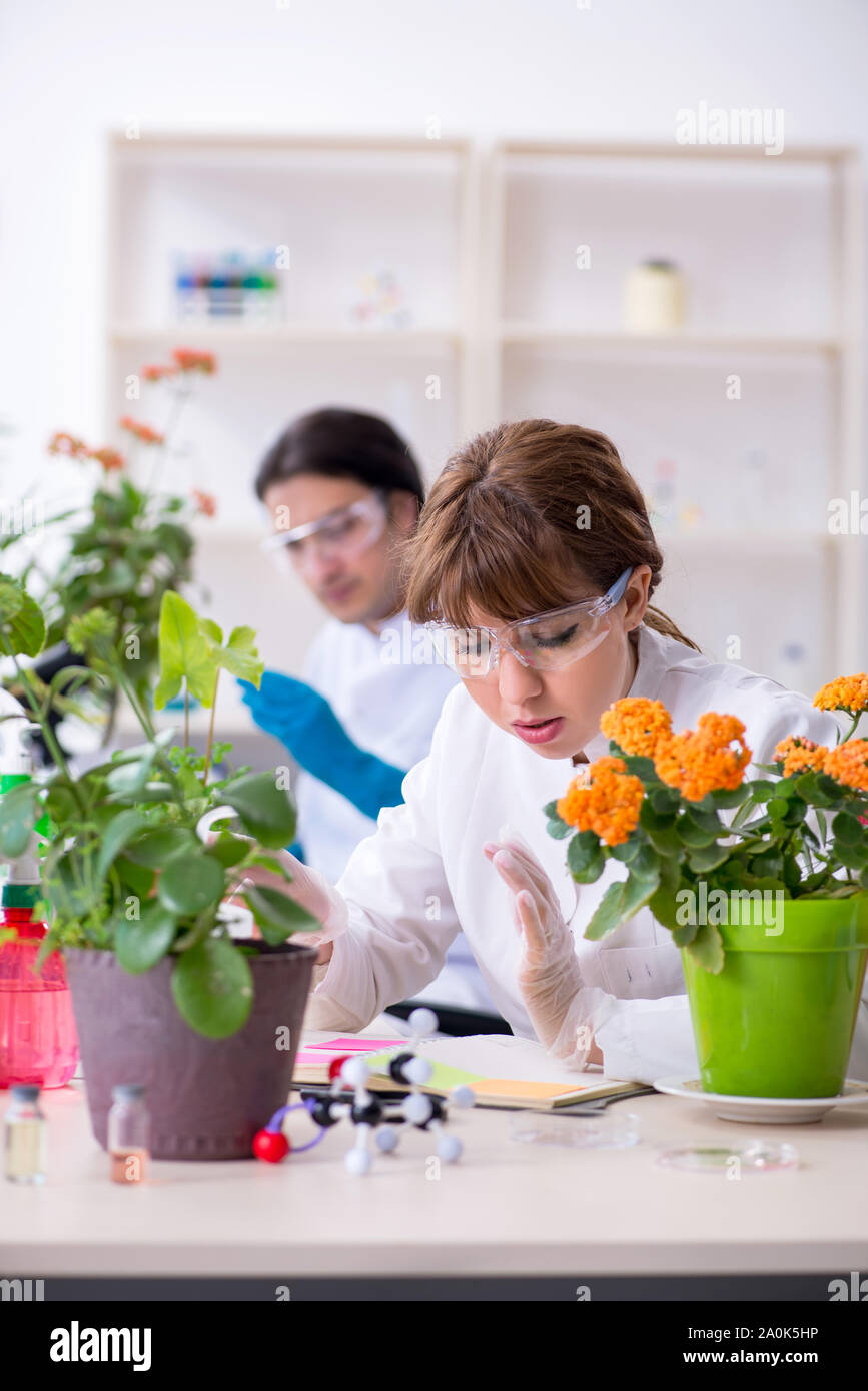 The two young botanist working in the lab Stock Photo - Alamy