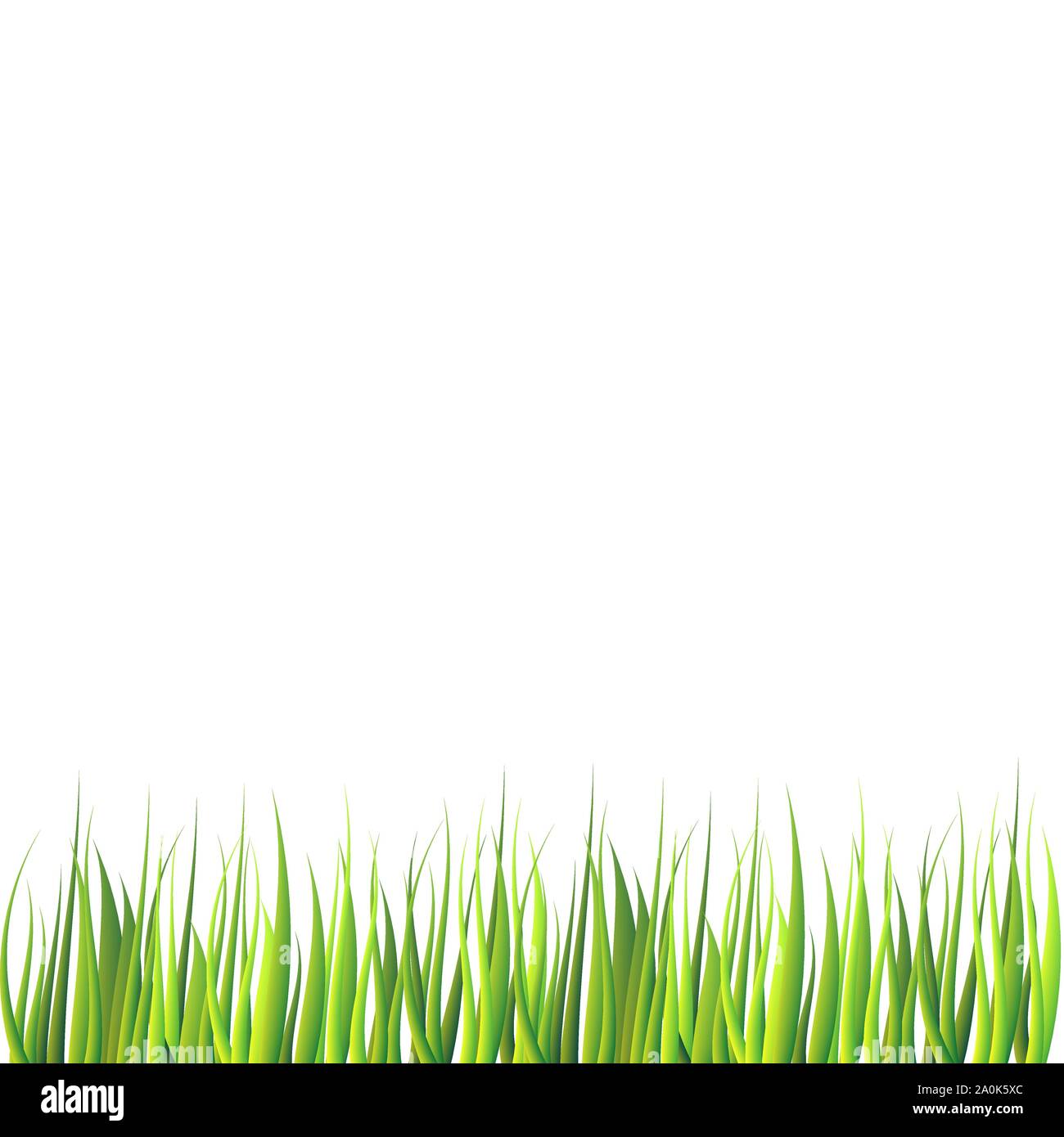Grass leaf green line Stock Vector Images - Alamy