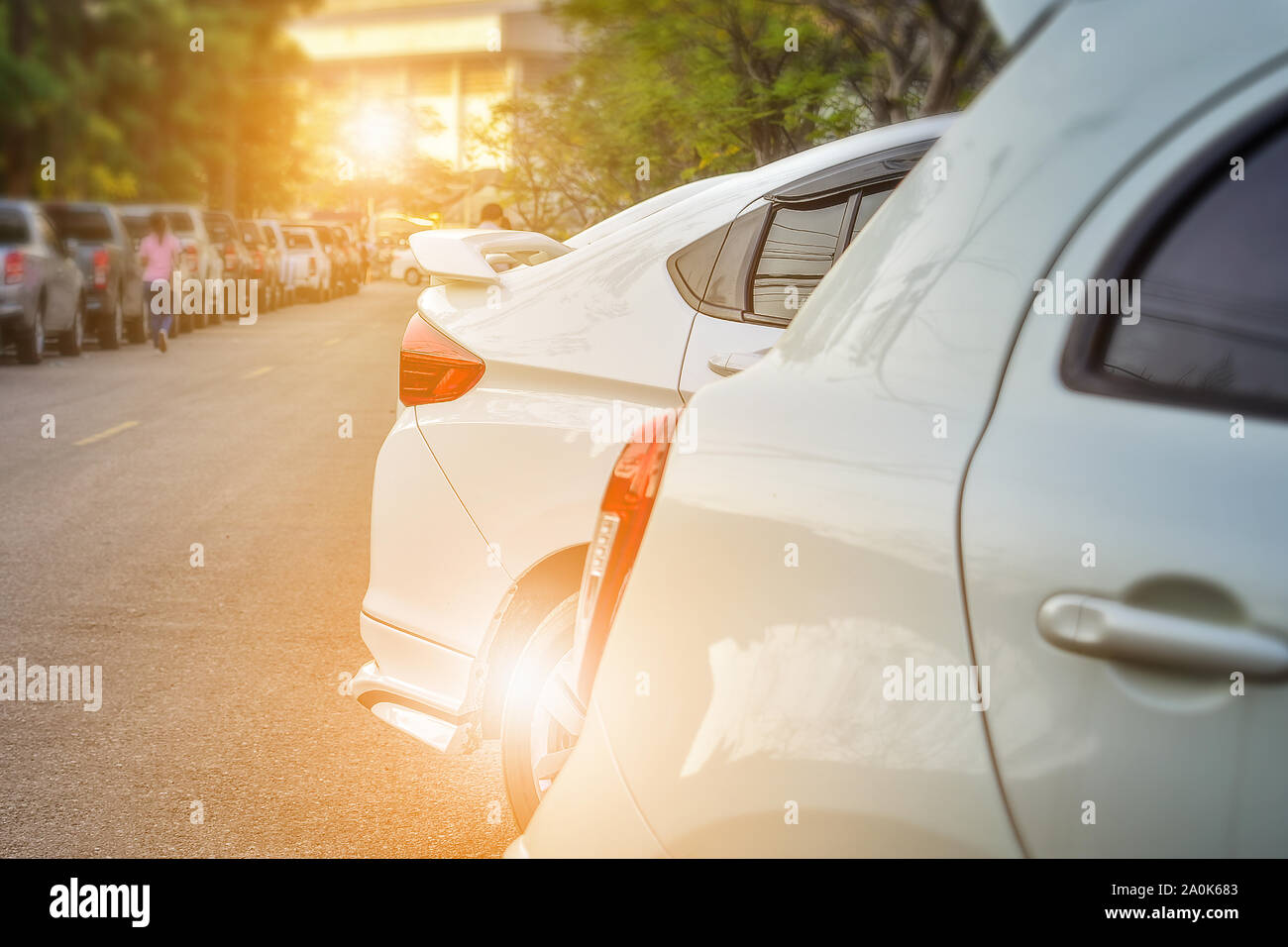 White car parked on road and sunlight on background,light of back side ...