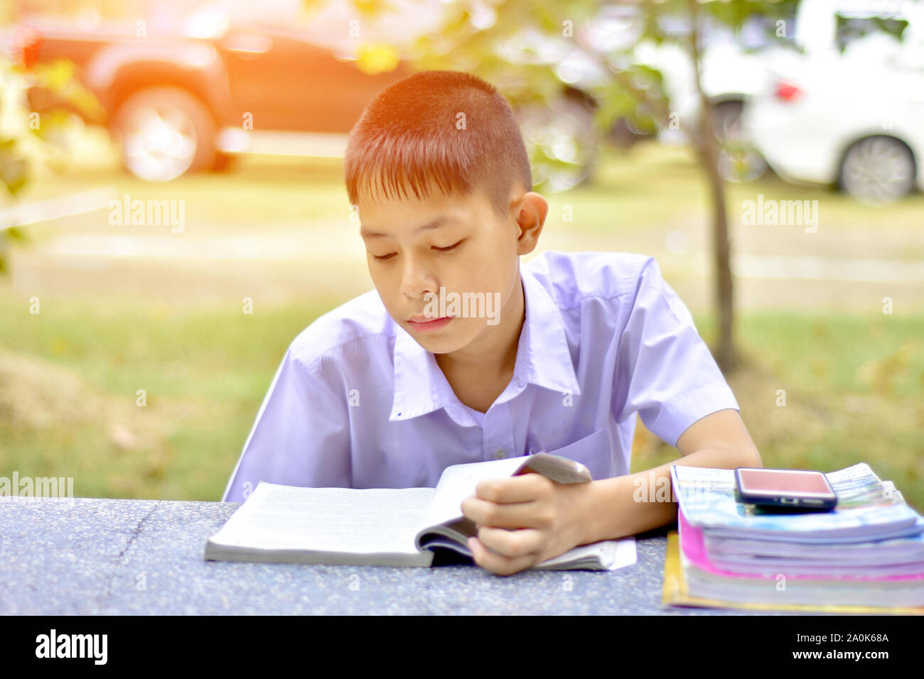 Boy reading a book Stock Photo - Alamy