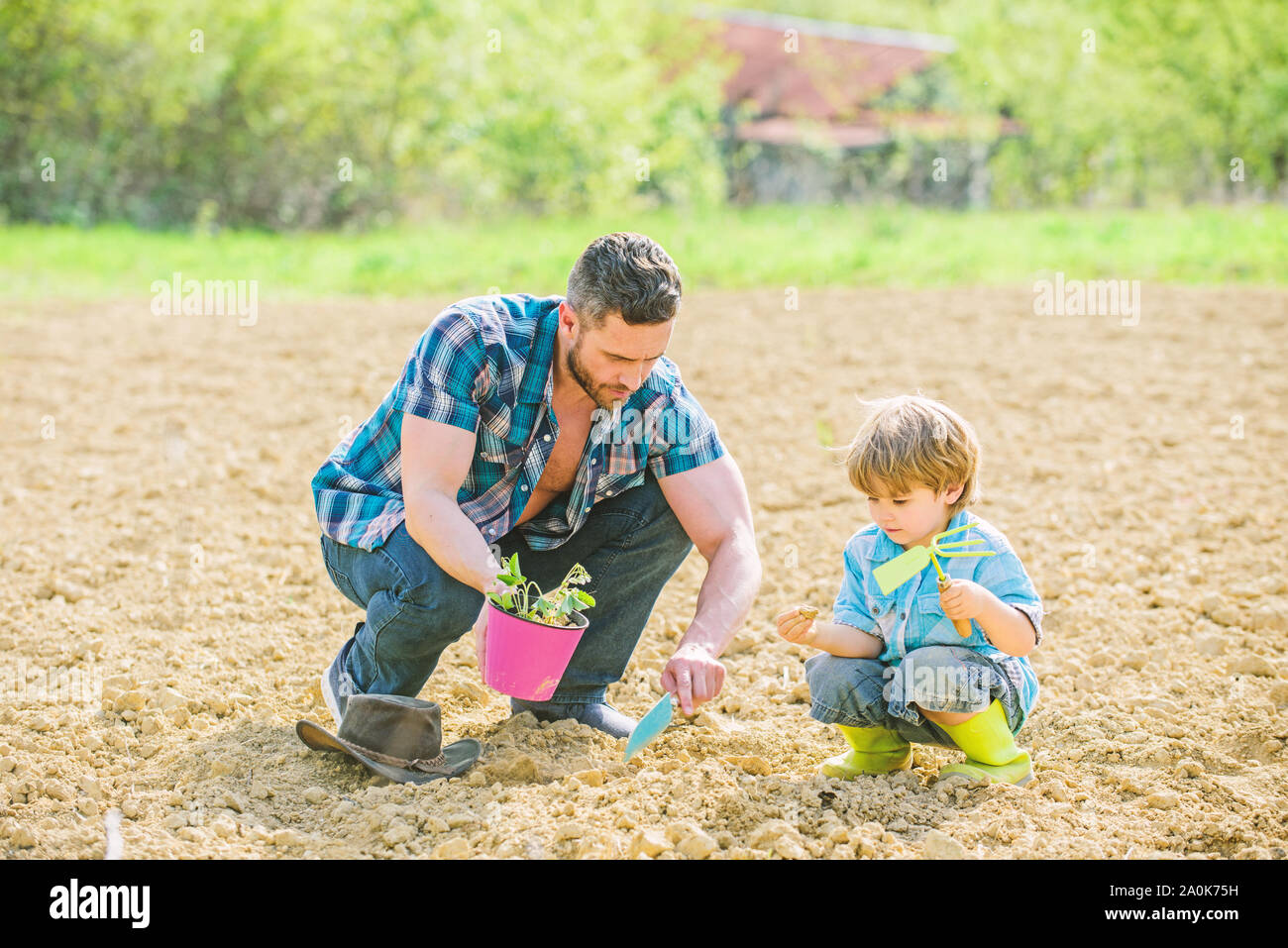 father and son planting flowers in ground. earth day. rich natural soil ...
