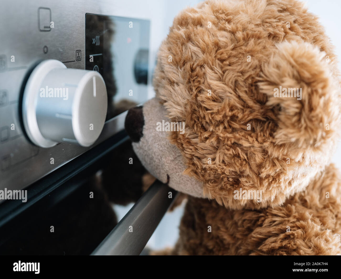 Brown teddy bear, is watching how the oven goes in the kitchen Stock ...