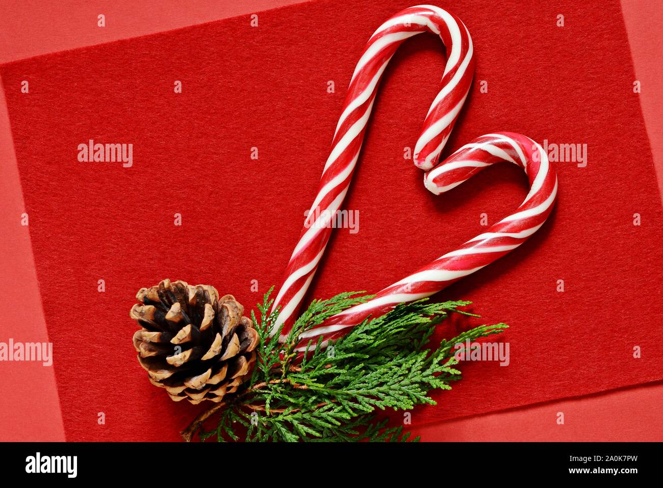 Candy cane on a red background with a sprig of fir. Christmas,New Year ...