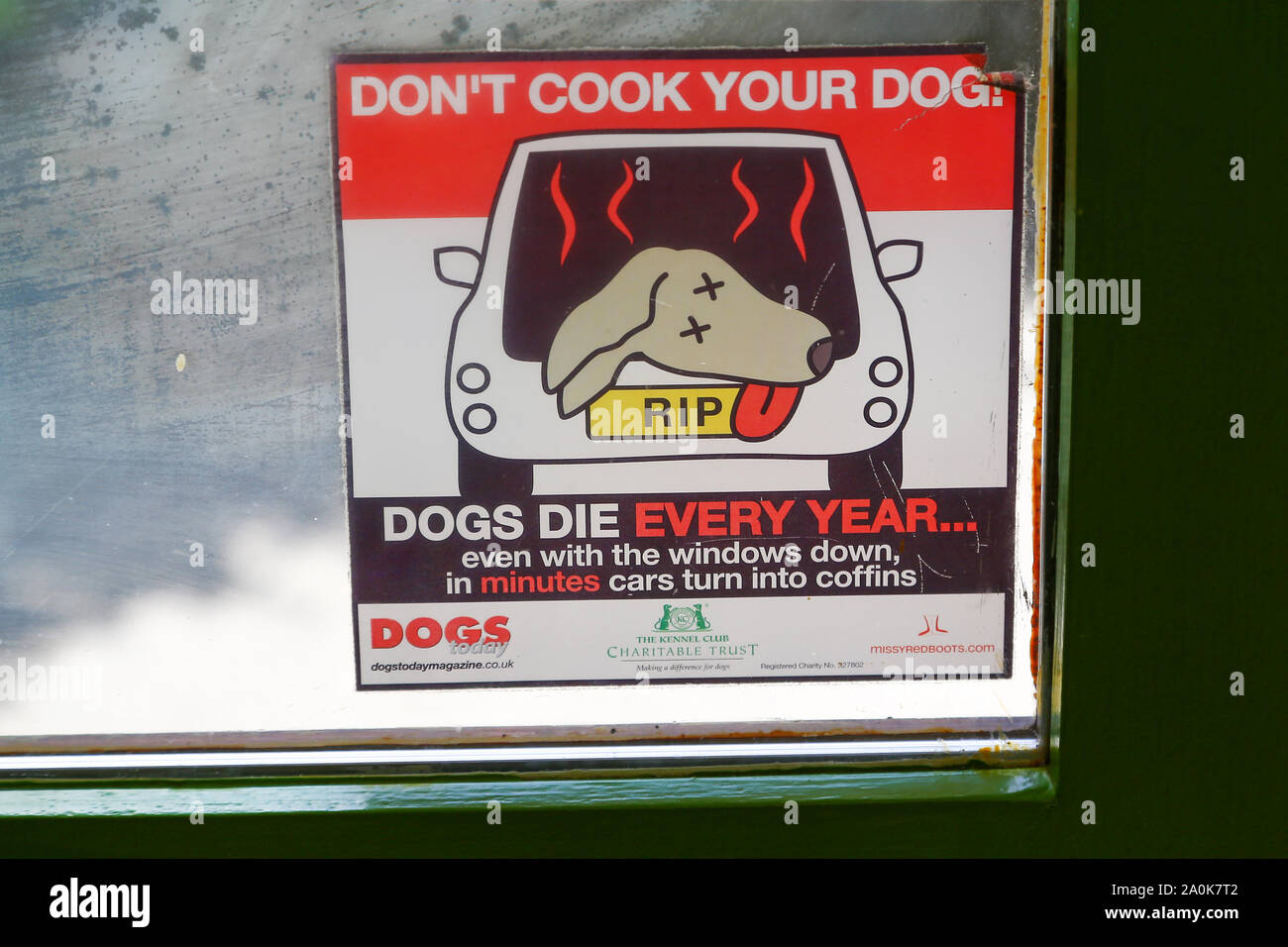 A sign saying 'don't cook your dog' and 'dogs die every year in cars ...