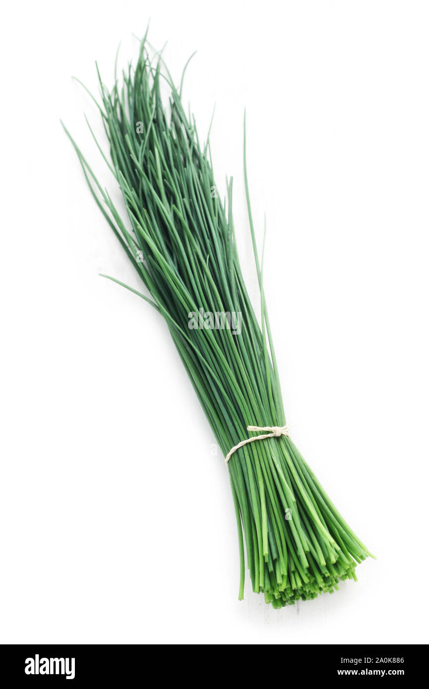 Bunch of Chives Isolated On White Stock Photo - Alamy