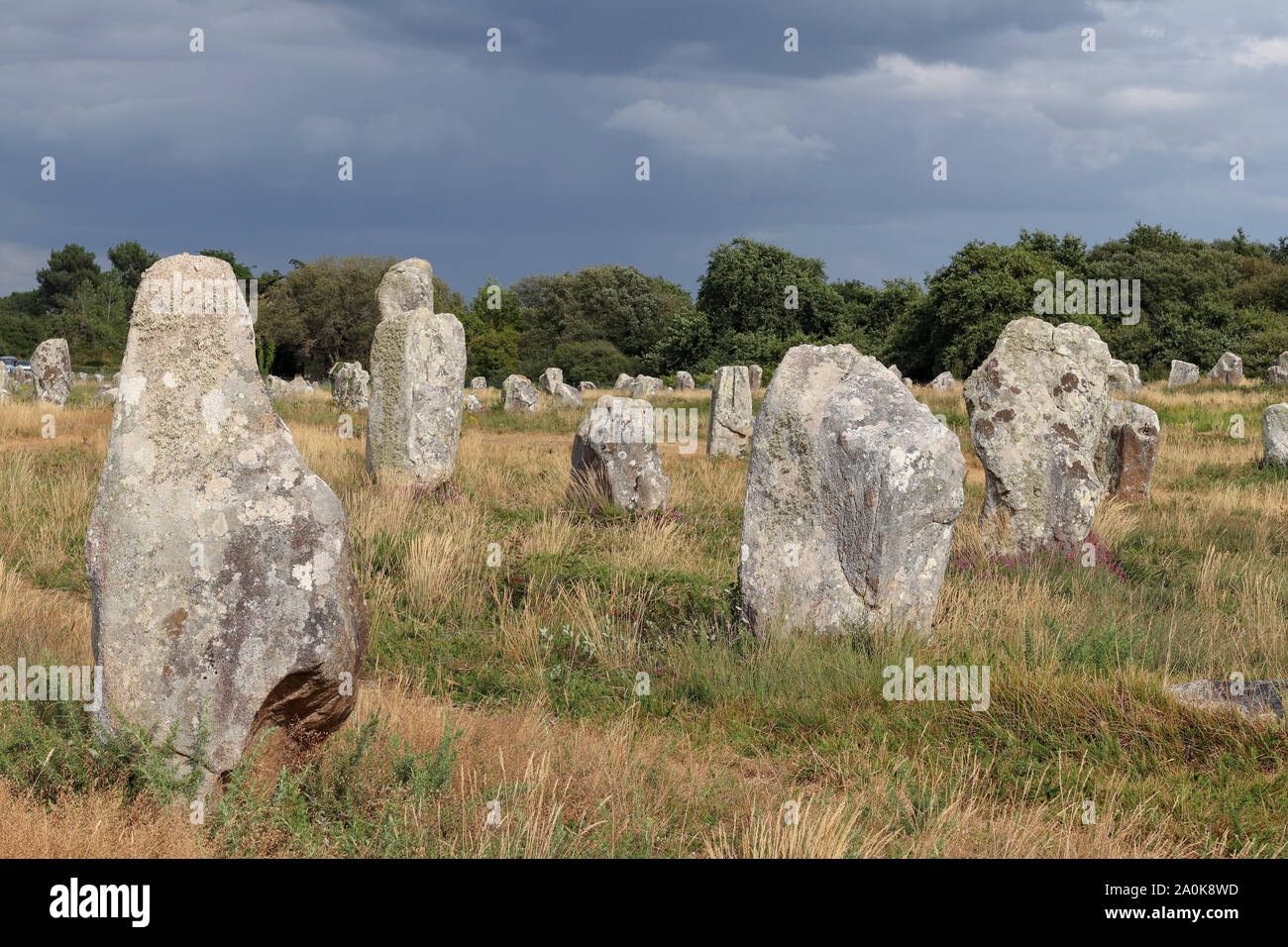 Alignements du Menec - rows of menhirs - standing stones - the largest ...