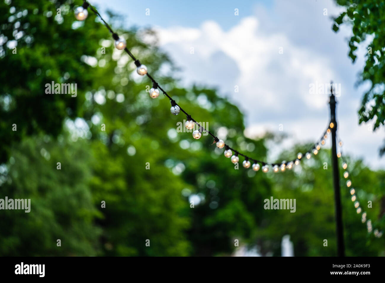 Background with blur street lights and garlands in park Stock Photo - Alamy