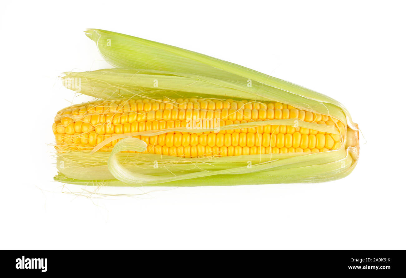 Closeup of fresh corn with green leaves, isolated on a white background ...